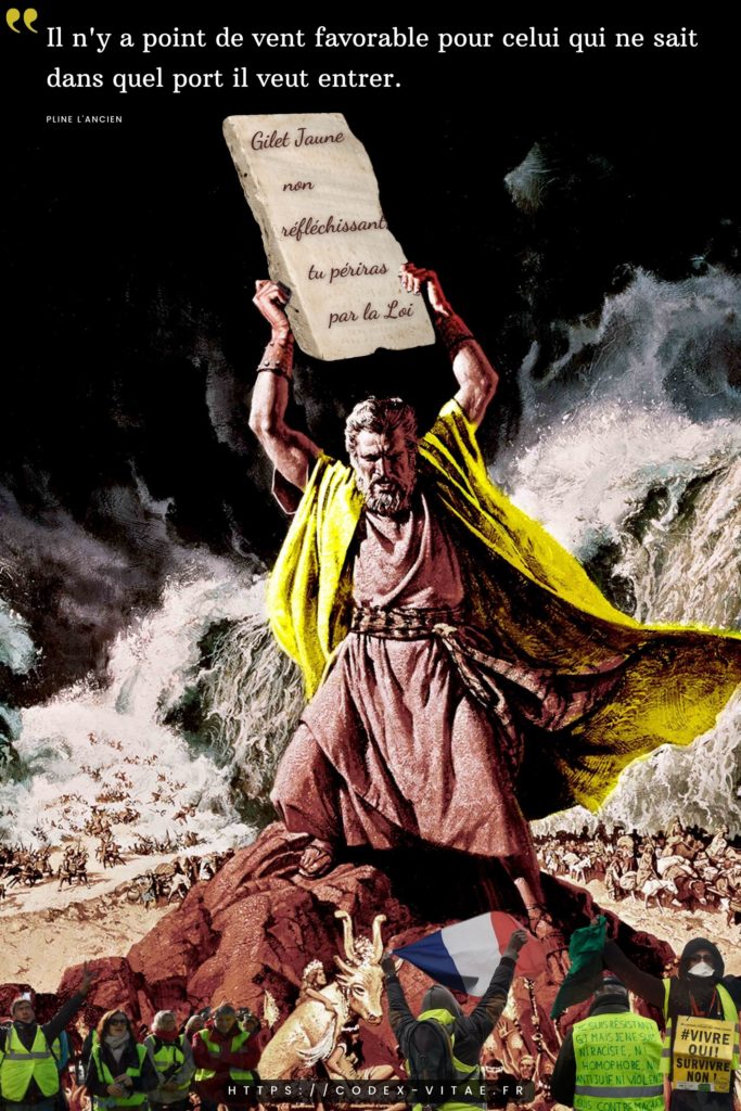 On prend les mêmes et on recommence ! - CODEX VITAE